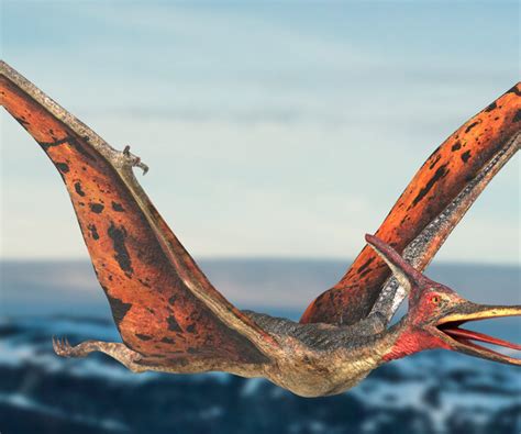 Artstation Pteranodon Rigged 3d Model Resources