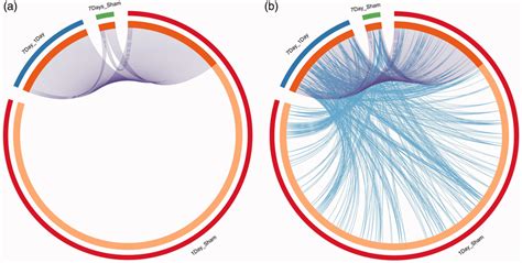 Overlap Between Gene Lists A Only At The Gene Level Where Purple