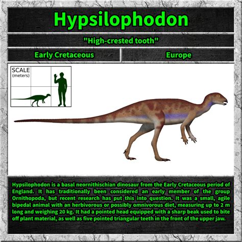 Hypsilophodon By Unexpecteddinolesson On Deviantart