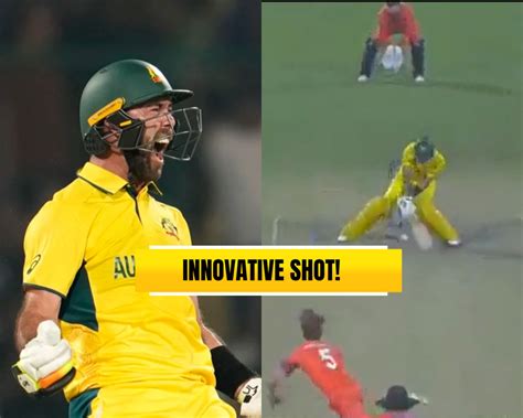 Watch Glenn Maxwells Outrageous Reverse Sweep Six Leaves Fans At The
