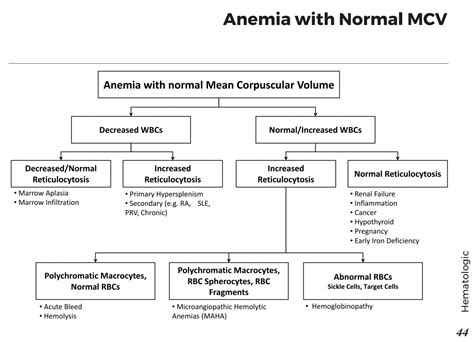 Causes Of Anemia With Normal Mean Corpuscular Volume Grepmed