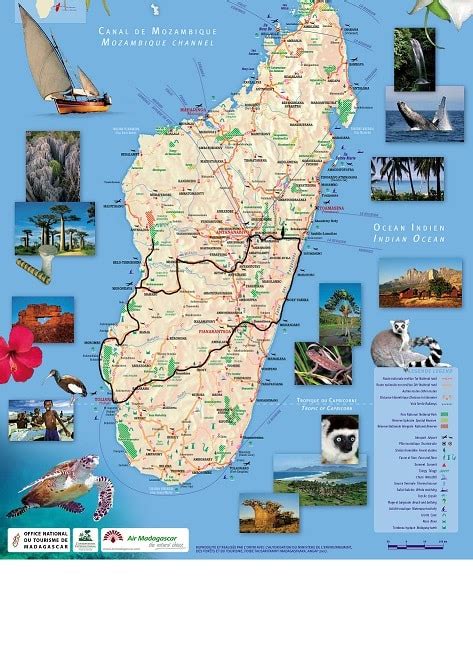 Loop Circuit Tours Terremad
