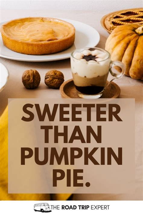 100 Cute Pumpkin Patch Captions For Instagram With Quotes