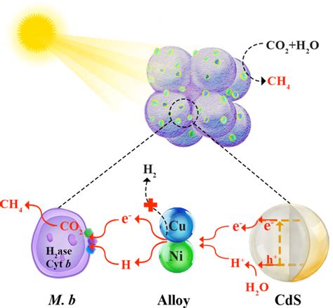 Solar Driven Methanogenesis With Ultrahigh Selectivity By Turning Down