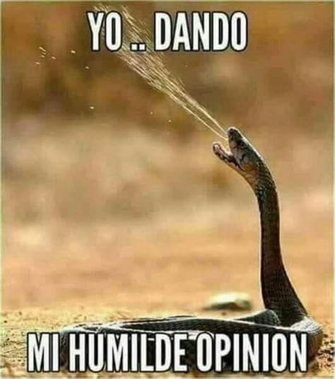 Yo dando mi humilde opinión Funny Spanish Jokes Funny Baby Jokes Spanish Humor Funny
