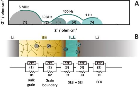A Nyquist Plot Of Liileseli Green Line Cell With Its Respective