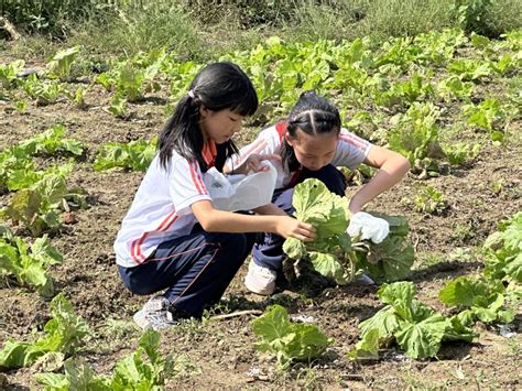 上海长兴岛郊野公园再掀国庆黄金周度假新热点 企业频道 东方网