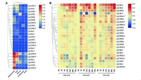 Expression Patterns Of Cbl Cipk Genes In Different Tissues A And