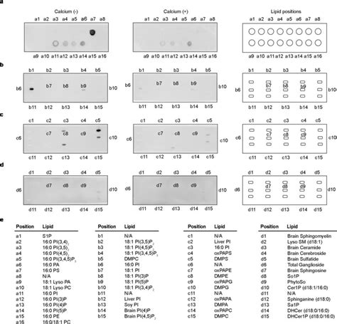Proteinlipid Overlay Analysis A D Proteinlipid Overlay Assay Using Download Scientific