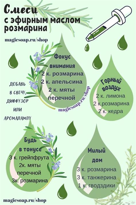 Розмарин испанский - эфирное масло | Эфирное масло, Смеси эфирных масел ...