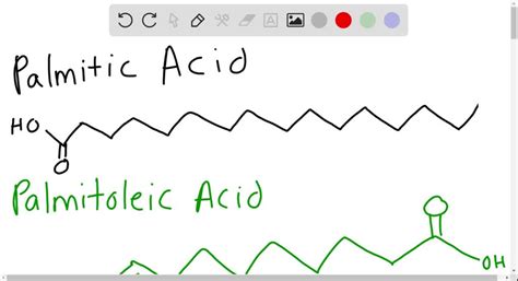 Palmitic Acid
