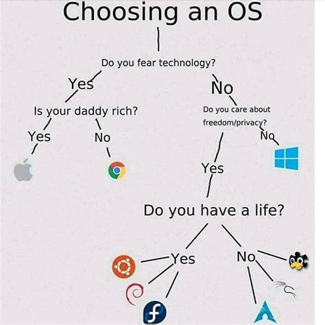 Fuck Me For Not Using Linux R Gatekeeping