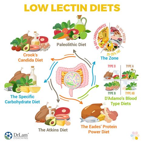 Lectins Thyroid Problems And Autoimmune Diseasedr 55 Off