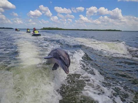 Bonita Jet Ski Dolphin Tour Tripshock