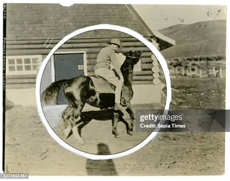 Acme Alberta Photos And Premium High Res Pictures Getty Images