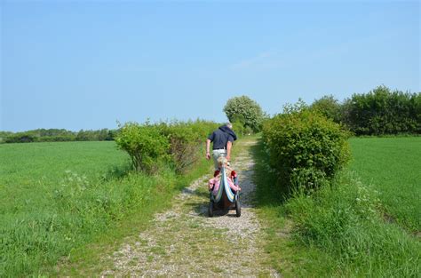 Merovingians The Once The Present And Future Kings Gallo Roman