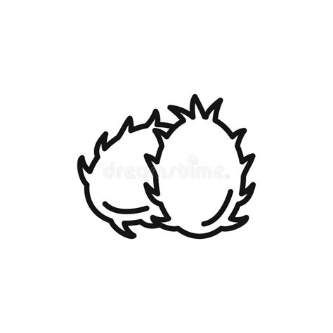 Pitaya Icon Outline Collection In Black And On White Background Stock