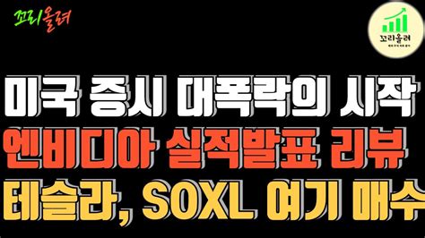 꼬리올려 엔비디아 실적발표 리뷰 테슬라 여기까지 떨어진다 미국 증시 대폭락인가 Youtube