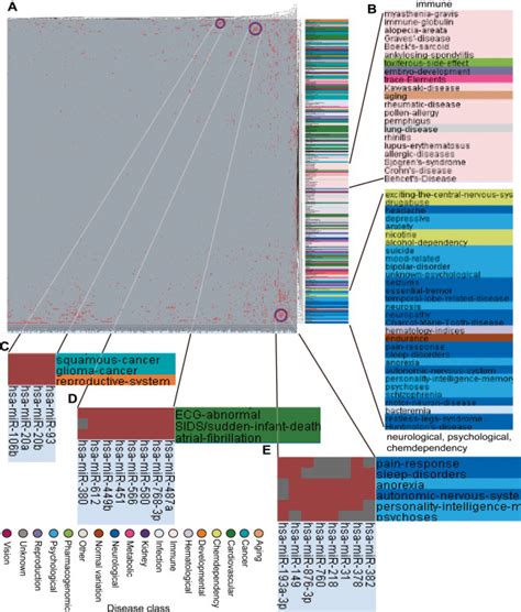 Hierarchical Clustering Of The Mirna Disease Network A Hierarchical