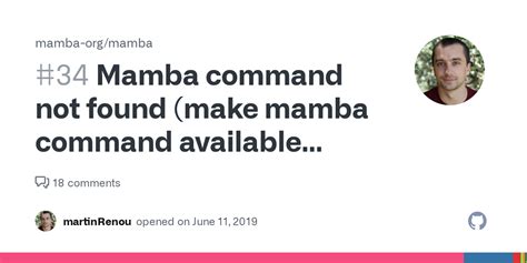 Mamba Command Not Found Make Mamba Command Available Outside Base