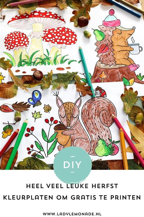 Herfst Kleurplaat Print Hier Gratis De Leukste Herfst Tekeningen Mandala Novelty Christmas