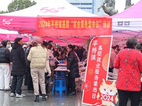 天台平桥：党群服务就业“集市” 助数千人“赶集”择岗