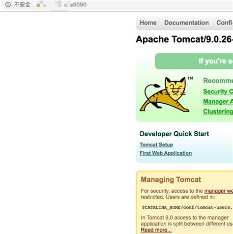 Tomcat9使用nginx配置反向代理时出现：the Character Is Never Valid In A Domain