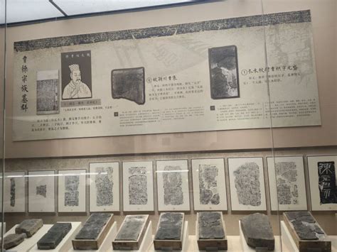 走进博物馆：领略悠久的文化传承 多彩大学生网