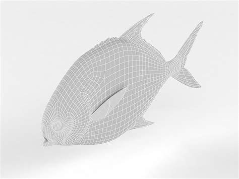 폼 파노 피쉬 3d 모델 30 Fbx Max Obj Free3d