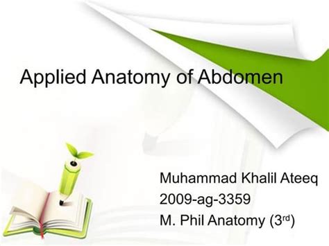 Pelvic Anatomy Poster Pdf