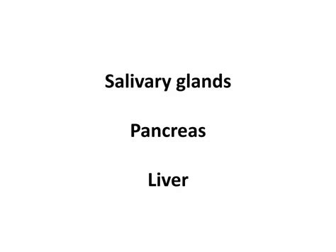 Pdf Salivary Glands Pancreas Liver Dokumentips