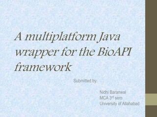 A Multiplatform Java Wrapper For The Bioapi Framework Ppt