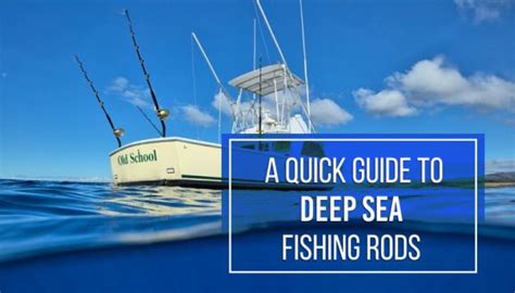 Choosing The Right Fishing Rod Length