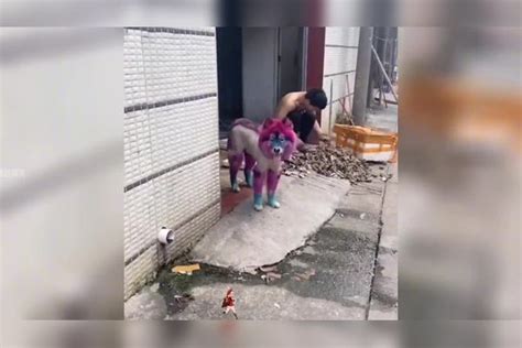 吾非人，汝甚狗，当个人吧