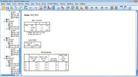 [spss 기초] 크론바흐 알파 신뢰도분석 Youtube
