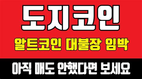 도지코인 전망 알트코인 대불장 임박 아직 매도 안했다면 보세요 Youtube