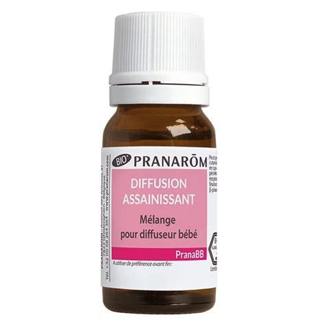Pranarom Pranabb M Lange Pour Diffusion Assainissant Bio Ml