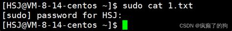 Linux中解决普通用户使用不了sudo问题sudo命令用不了 Csdn博客