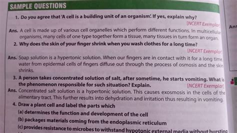 SAMPLE QUESTIONS Do You Agree That A Cell Is A Building Unit Of An Or