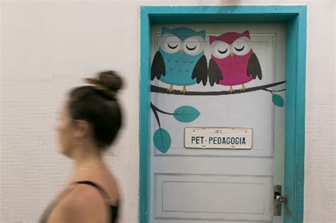 Conheça a importância dos Programas de Educação Tutorial PETs para os