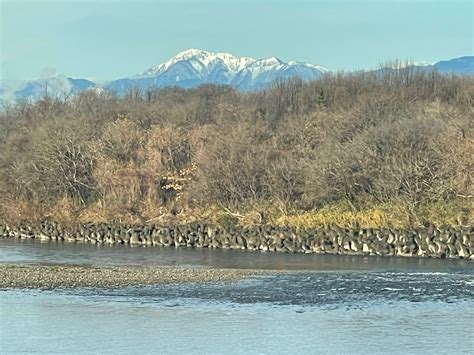 伊吹山 2 75のブログ