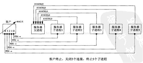 深入研究socket编程（4）——并发服务器（tcp）基于socket实现tcp Concurrent服务器4h Csdn博客