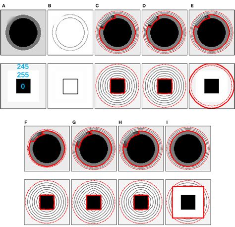 Frontiers Image Segmentation Using Active Contours With Image Structure Adaptive Gradient