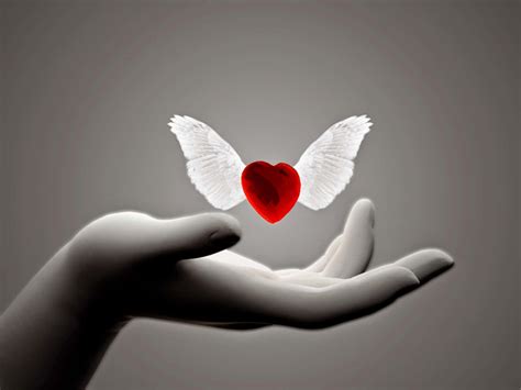 Download A Hand Holding A Red Heart With Wings