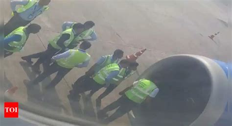 Indigo Flight News Dubai Bound Indigo Flight Suffers Bird Hit On