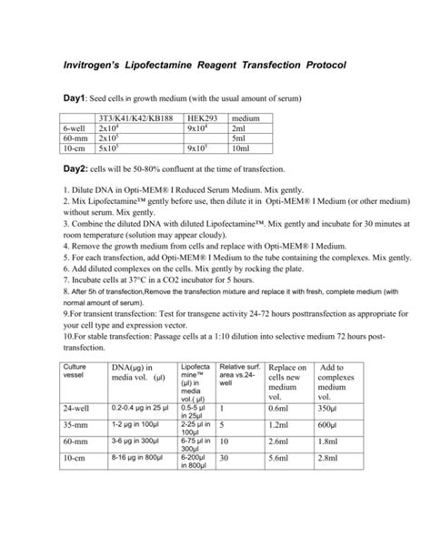 Lipofectamine Transfection Protocol For Cell Cultures