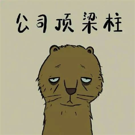 让你上恋综，你成万人迷？最新章节全文无弹窗在线阅读 Qq阅读中文历史网