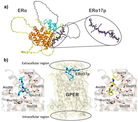 Cells Free Full Text Promising Perspectives Of The