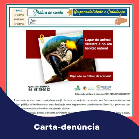 Carta Denúncia 9 Prática De Escrita Lição Prática