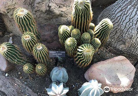 2023美国国家植物园 旅游攻略 门票 地址 问答 游记点评华盛顿旅游旅游景点推荐 去哪儿攻略